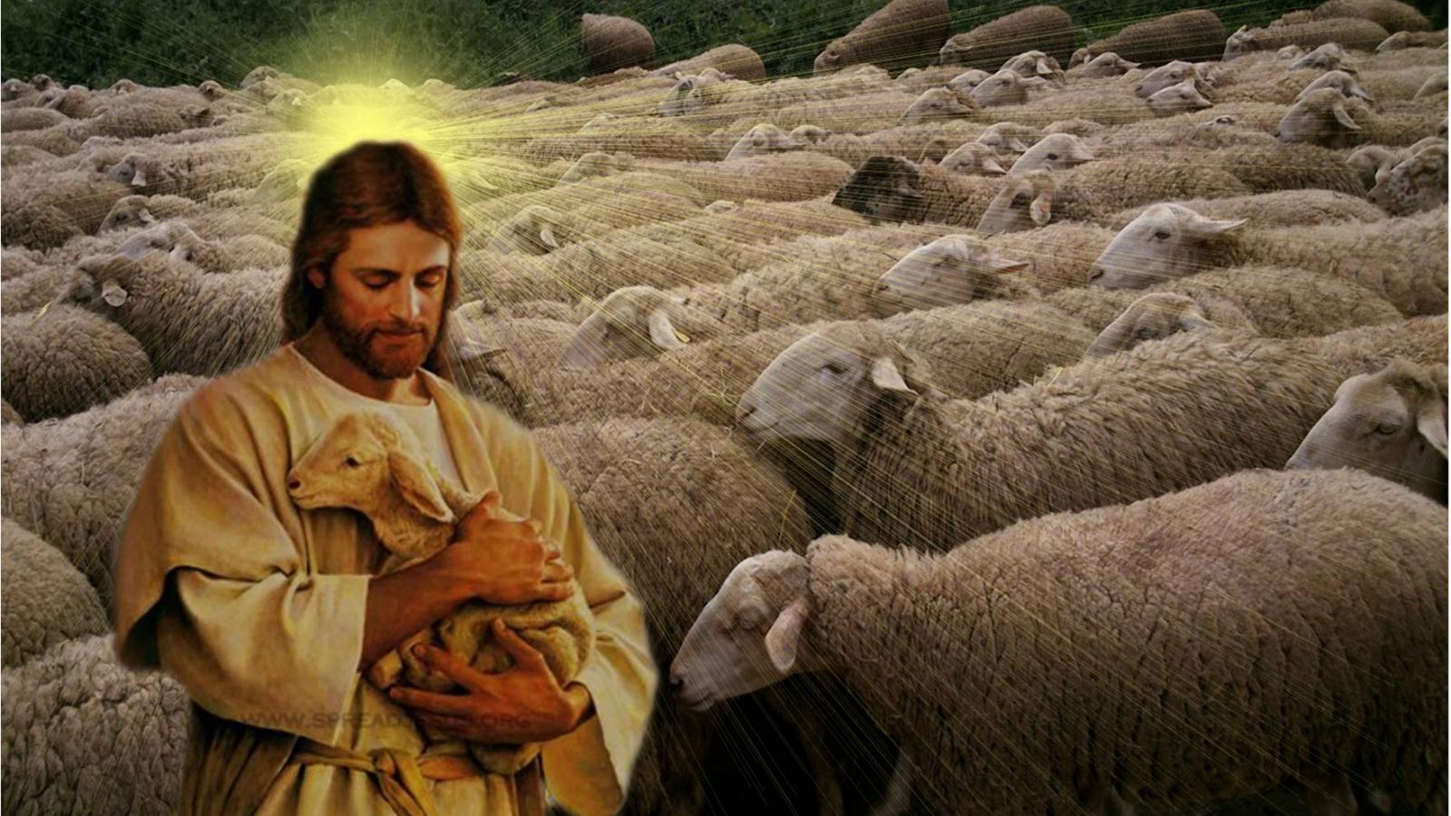 My Sheep Hear My Voice – Sharing God's Love and Grace