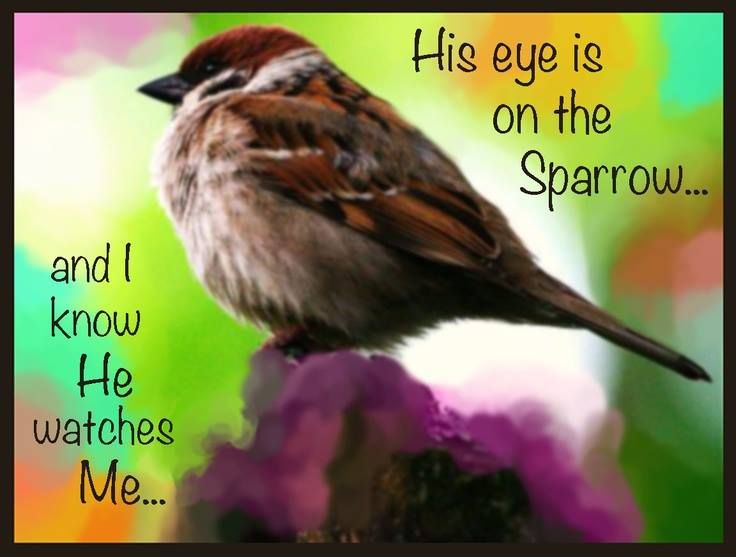 Virtual Worship for June 21, 2020 – Sharing God's Love and Grace