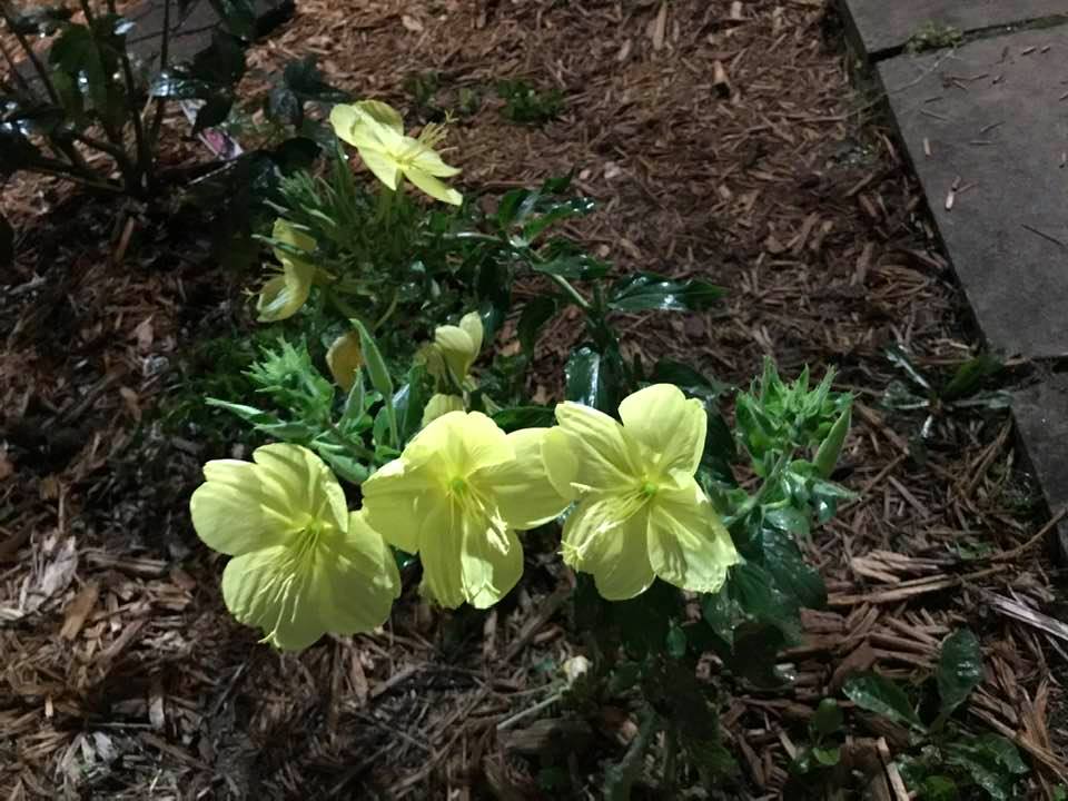 Put on the Armor of Light! Put on Jesus Christ! – Sharing God's Love ...